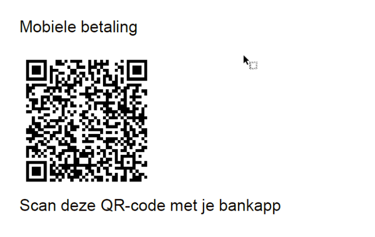 Mobiele betaling met QR-code - Easybox